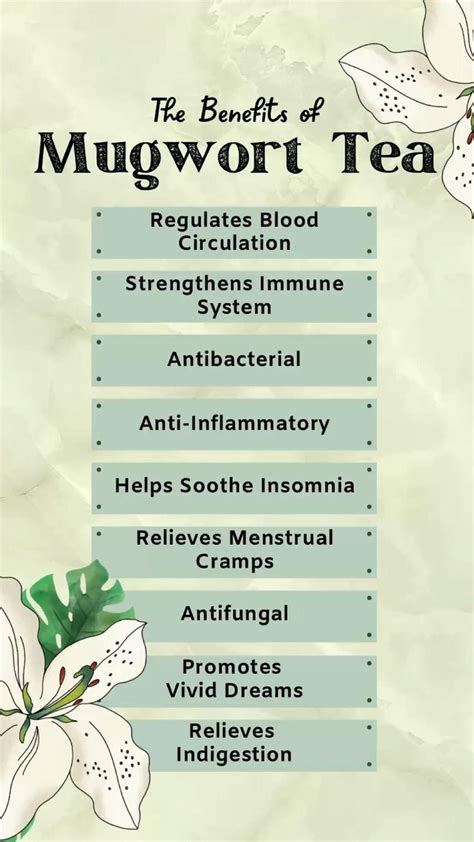 Mugwort Tea Benefits Mugwort Magical Properties Herbs For Tea