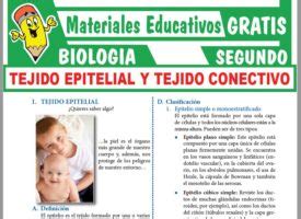 BIOLOGÍA Segundo de Secundaria 28 Fichas GRATIS