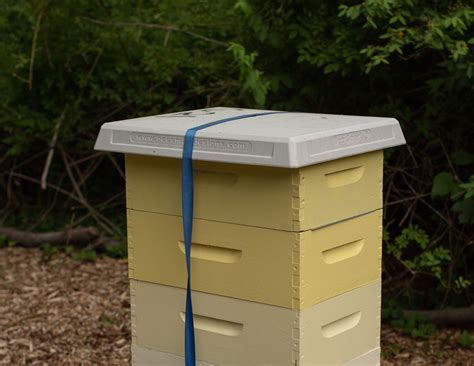 The Ultimate Hive Cover Bee Smart Designs Modular Beehive Systems