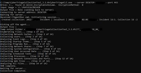 Cyber Triage Cyber Security Architect Redblue Teaming Exploit