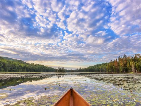 Quotes About The Adirondack Wild