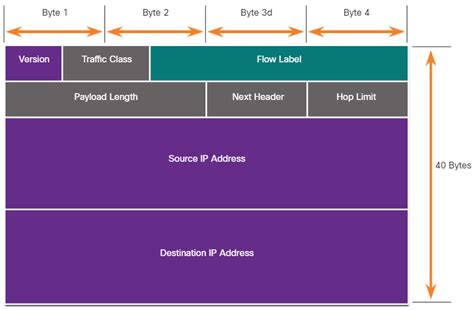 CCNA 1 V7 0 Curriculum Module 3 Protocols And Models