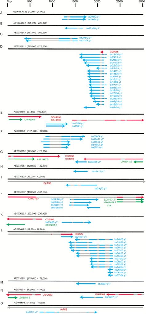 Gene Discovery Using Computational And Microarray Analysis Of