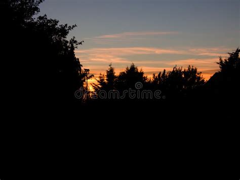 Silueta De Bosque Caducifolio Al Atardecer Brillante Foto De Archivo