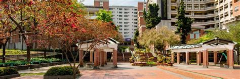朝陽科技大學繁星計畫招生資訊公告