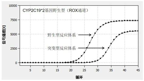 Primer Probe Combination And Kit Eureka Patsnap