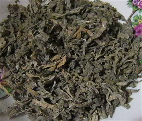 Свойства морской капусты