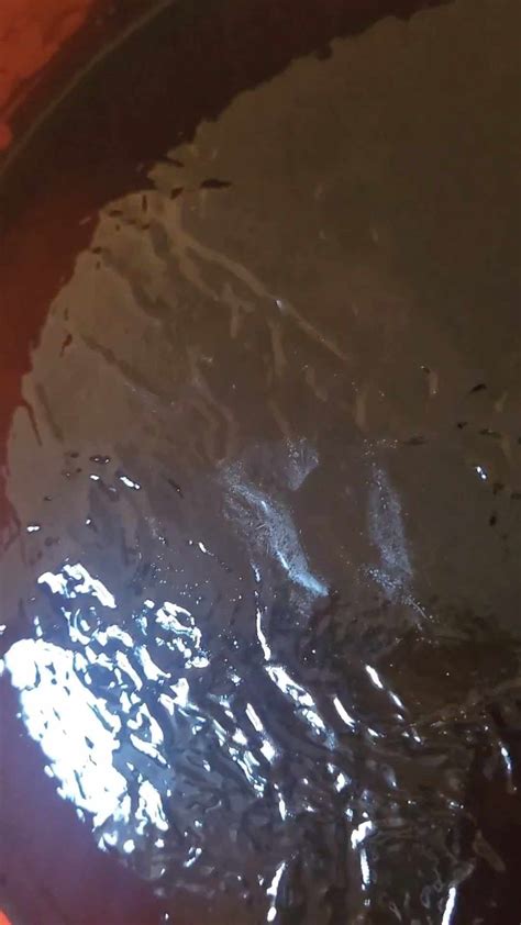 Blue Lotus Resin 31 Extract All Things Amanita