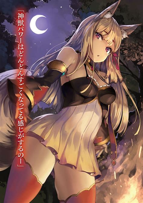 Light Novel Volume 9illustrations Kaifuku Jutsushi No Yarinaoshi