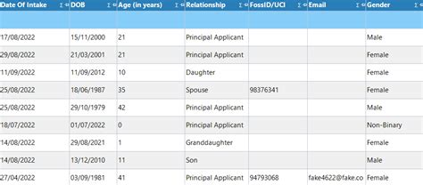 Introduction To Filters In Tables And Grids Case Management Solution