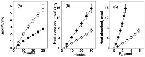 Heat Released During Atp Hydrolysis Using Pep As The Atp Regenerating