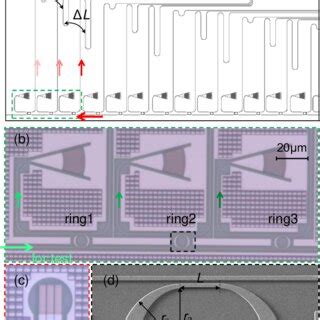 The Layout A Microscope Images B C And SEM D Of The Fabricated