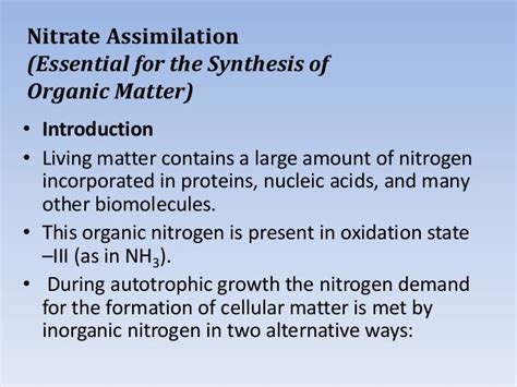 Cs701nitrate Assimilation By Arnolddamaso