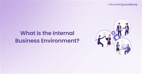 Internal Environment In Business