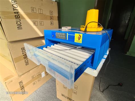 Small Dual Power Automatic Egg Incubator Ecochicks Poultry Ltd