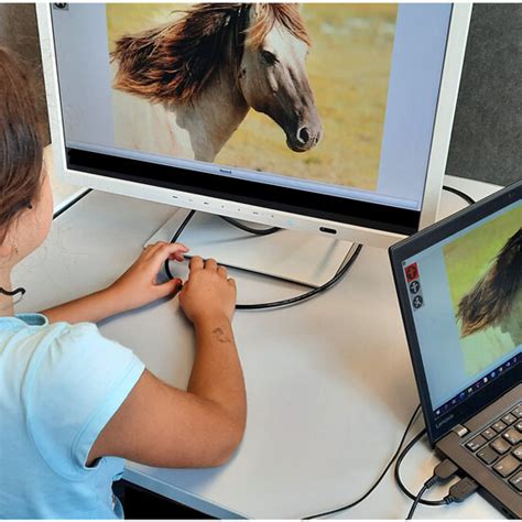 Example Of Set Up And Image Shown To The Participants For The Picture