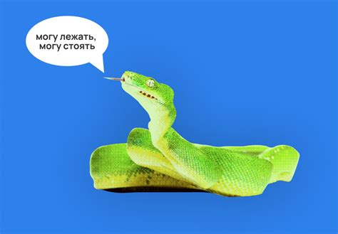 Разработка веб приложений на Python Django Iconica