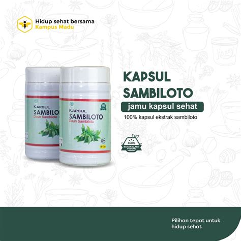 Jual Sambiloto Kapsul Isi 50 Kapsul 100 Ekstrak Sambiloto Shopee