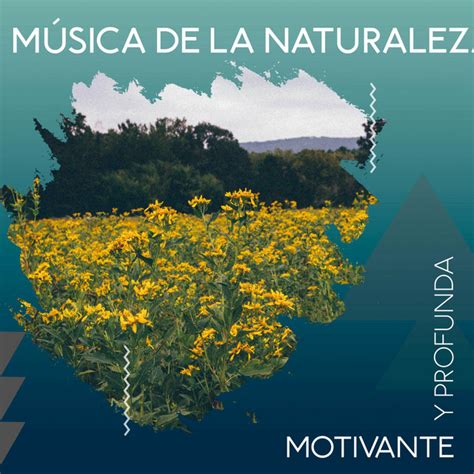 zZz Música de la Naturaleza Motivante y Profunda zZz Album by Naturaleza Sonidos Spotify