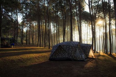 How To Build A Permanent Shelter In The Wilderness