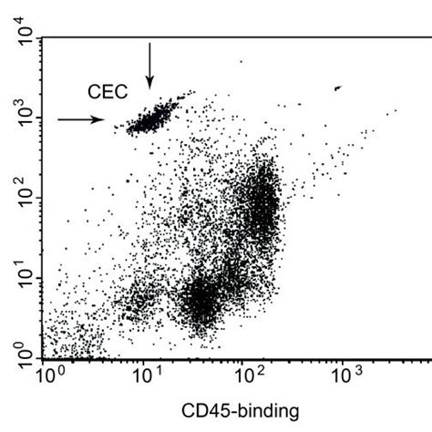 Flow Cytometric Detection Of Circulating Endothelial Cells In Download Scientific Diagram