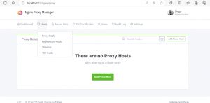 Nginx Proxy Manager How To Setup And Use RapidSeedbox