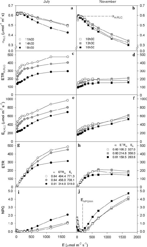 Examples Of The Variation Of RLC Parameters A RLC Initial Slope A Download Scientific