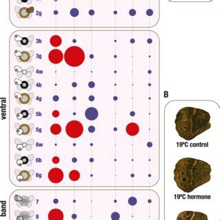See Legend On Next Page Download Scientific Diagram