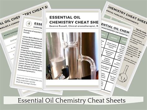 Essential Oil Chemsitry Cheat Sheets Etsy