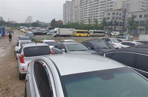 중고차 불법주차 불법주차장 운영까지 수원시 단속인력 부족 반복언제까지 뉴스 자동차신문 Korea All