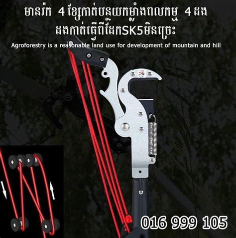 ដងកាត់មែកឈេី Modern Tool Kh Home