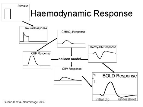 Statistical Parametric Mapping Lecture 2 Chapter 8 Quantitative