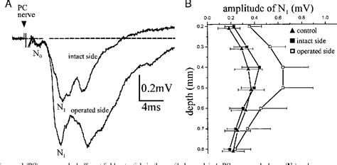 Figure 1 From Expansion Of Afferent Vestibular Signals After The Section Of One Of The