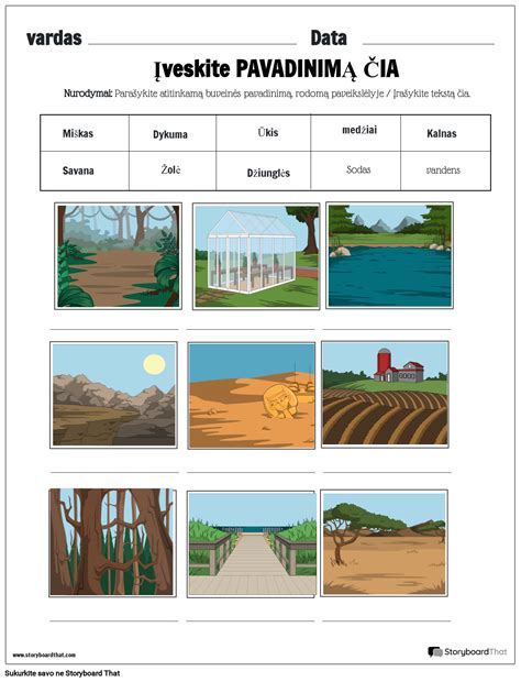 Pritaikomas Ekosistemos Darbalapis Storyboard Por Lt Examples