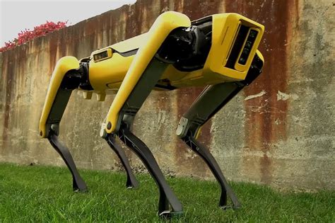 El Perro Robot Spot De Boston Dynamics Se Convierte En El Nuevo