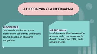 Fisiología Del Aparato Respiratorio Pptx
