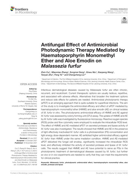 Pdf Antifungal Effect Of Antimicrobial Photodynamic Therapy Mediated