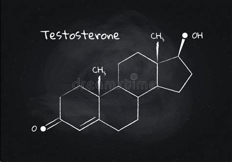 Ilustração Do Banner Da Estrutura Testosterona Vetorial Hormona