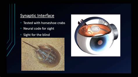 Types Of Screenless Display At Julie Solberg Blog