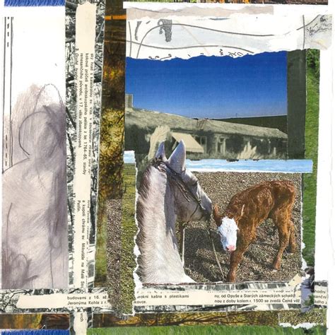 No Te Cubro Más Infobae