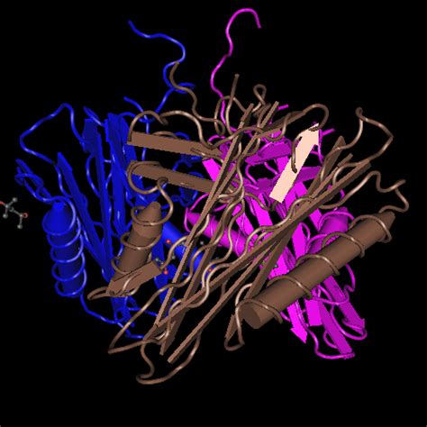 Methanococcus Jannaschii