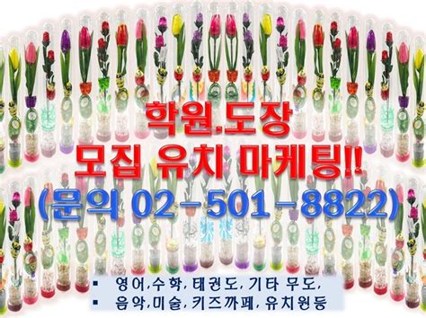 스윗트로피 학원 태권도 모집 마케팅 Band