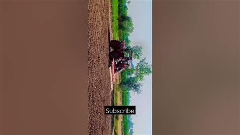 ایم ایف 260ٹریکٹر کی ہلو پرفارمنس چیک کریں اور پلیز چینل کو سبسکرائب