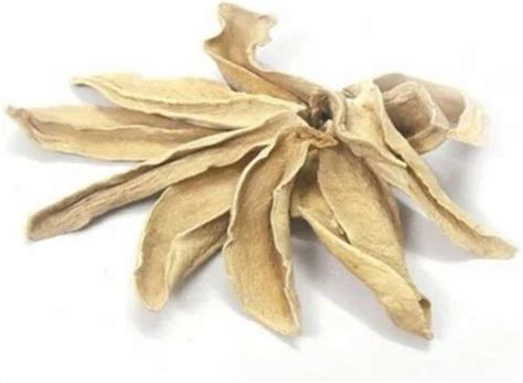 Yellow Dehydrated Raw Mango Slices Packaging Type Loose At Rs 300kg