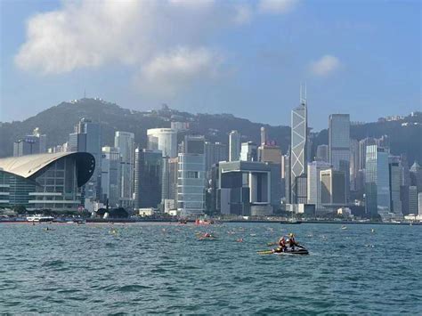 香港维港渡海泳开赛，1500名选手踊跃参与港台来信澎湃新闻 The Paper
