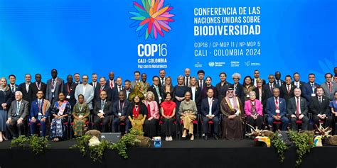 What Can Thailand Learn From Cop 16 And Cop 29 Sdsn Thailand