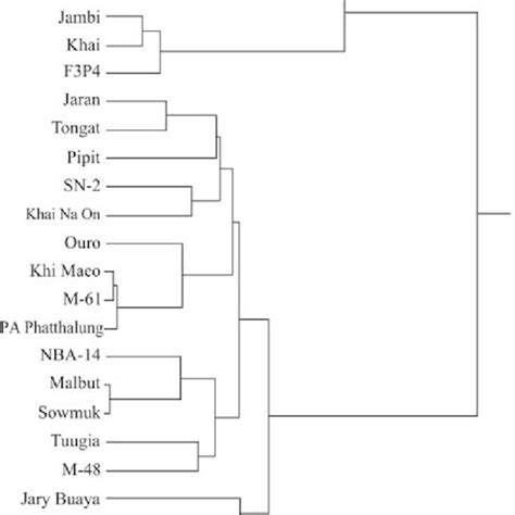 Bootstrap Analysis Used To Obtain A Precise Estimate Of The Genetic Download Scientific