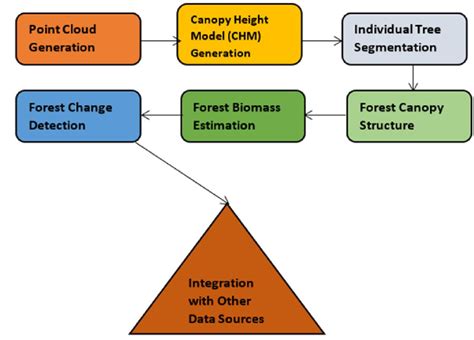 Flow Chart Showing 3d Forest Structure Modelling And Canopy Height Download Scientific Diagram