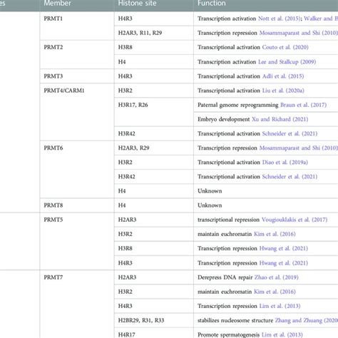 The Histone Methylation Site Of Prmts Download Scientific Diagram