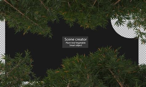 고립 된 대나무 식물의 종류 대나무 클리핑 경로 프리미엄 Psd 파일